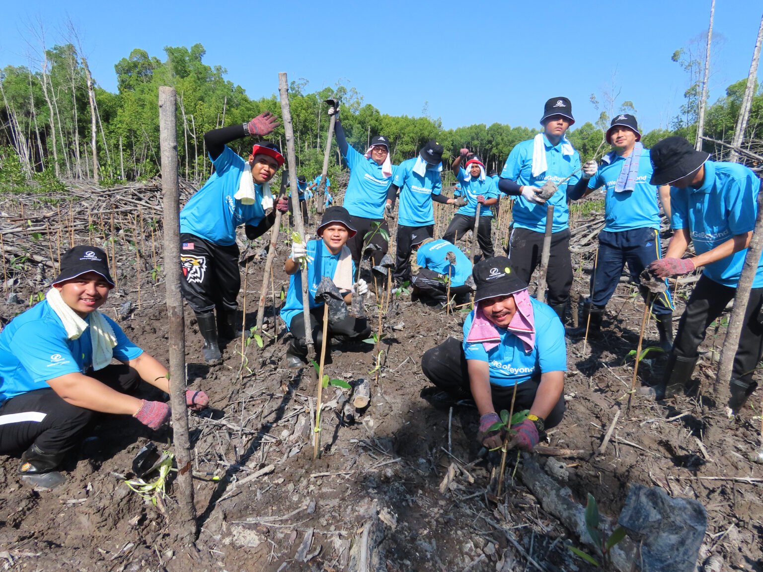 Perodua volunteers plant 1,700 mangrove trees at Kuala Selangor Nature ...